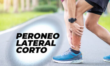 Peroneo lateral corto. ¿Qué es, dónde está y cómo calmar el dolor?